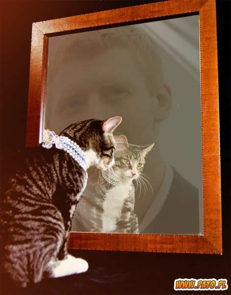 Bilder von Alexander Root | Seite 2