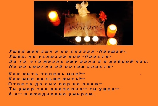 Bilder von Alexander Root