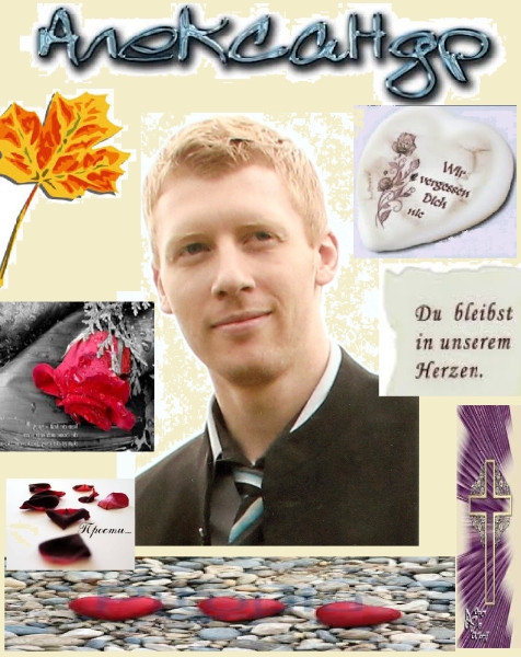 Bilder von Alexander Root