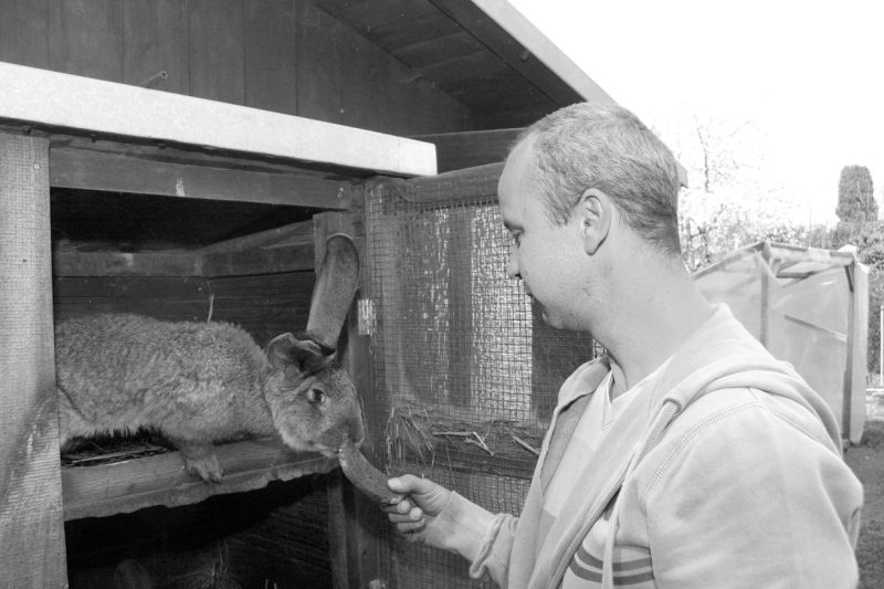 Bilder von Alexander Drescher