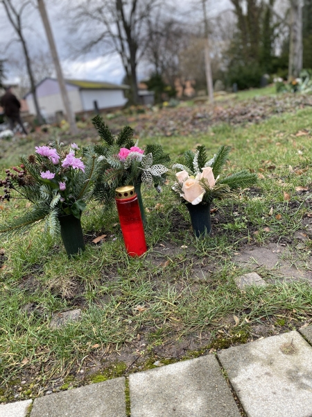 Bilder von Carola Gerhardt