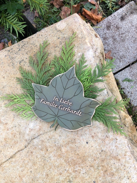 Bilder von Carola Gerhardt