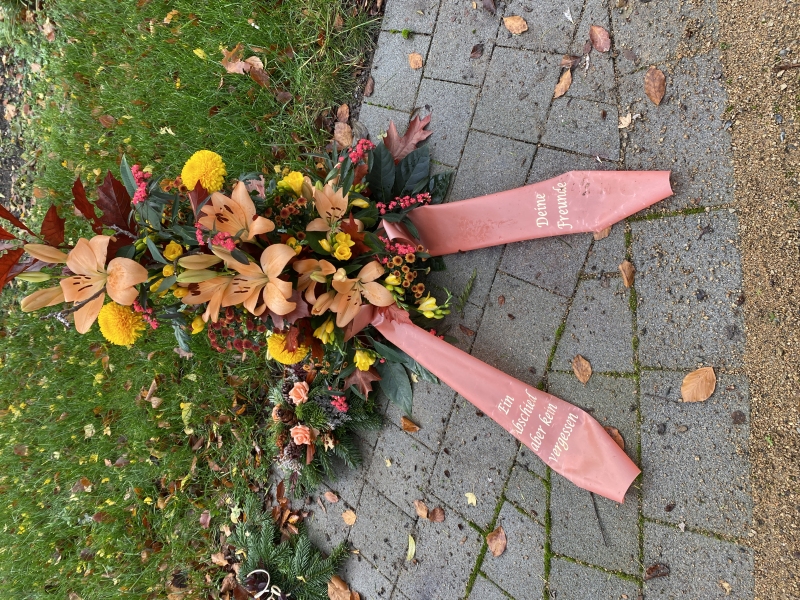 Bilder von Carola Gerhardt