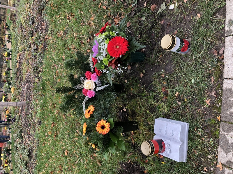 Bilder von Carola Gerhardt