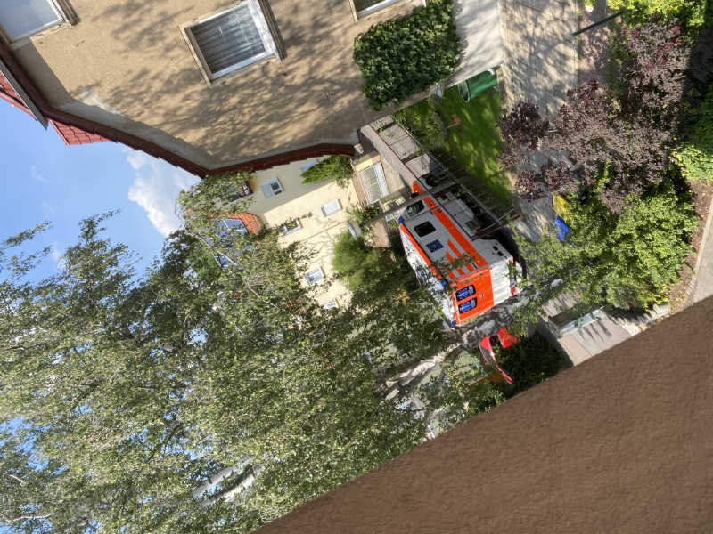 Bilder von Carola Gerhardt