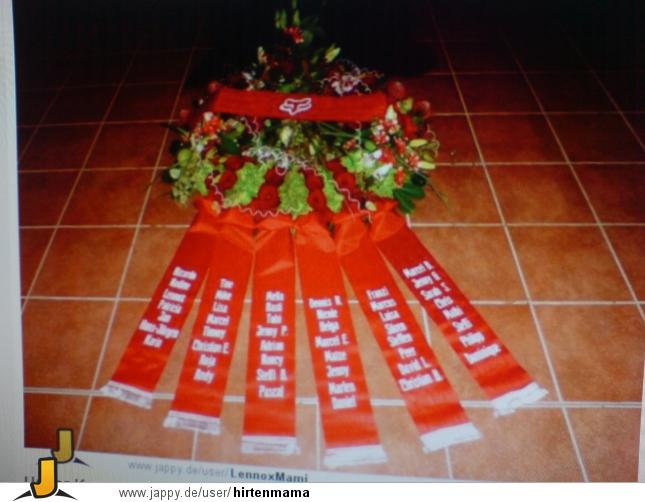 Bilder von David Briese