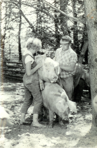 Bilder von Edith Eva Hahn