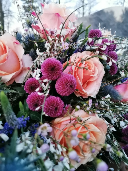 Bilder von Hartmut Elsenhans