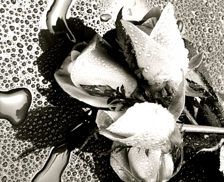 Bilder von Marc Kipfer