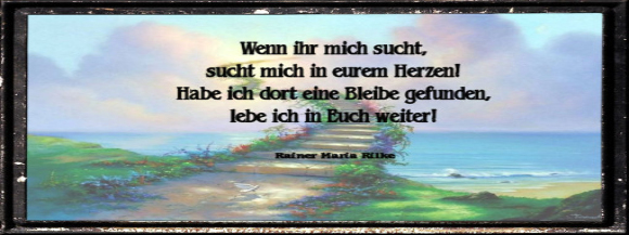 Gedenkseite für Marco Mazzilli