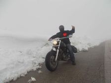 Gedenkseite für Marco Mazzilli