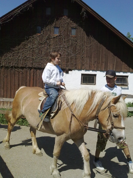 Bilder von Matthias Herzog