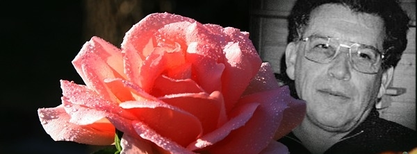 Gedenkseite für Norbert Müller