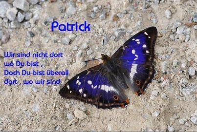 Bilder von Patrick Schuster | Seite 2