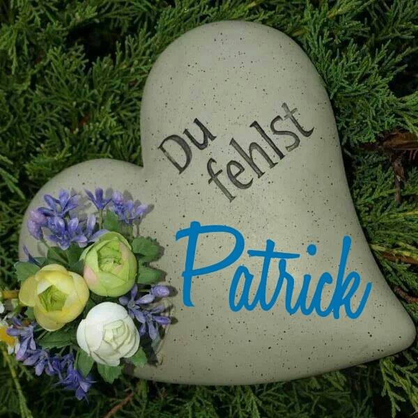 Bilder von Patrick Schuster | Seite 3