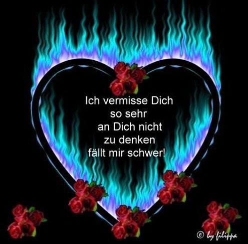 Bilder von Patrick Schuster | Seite 3