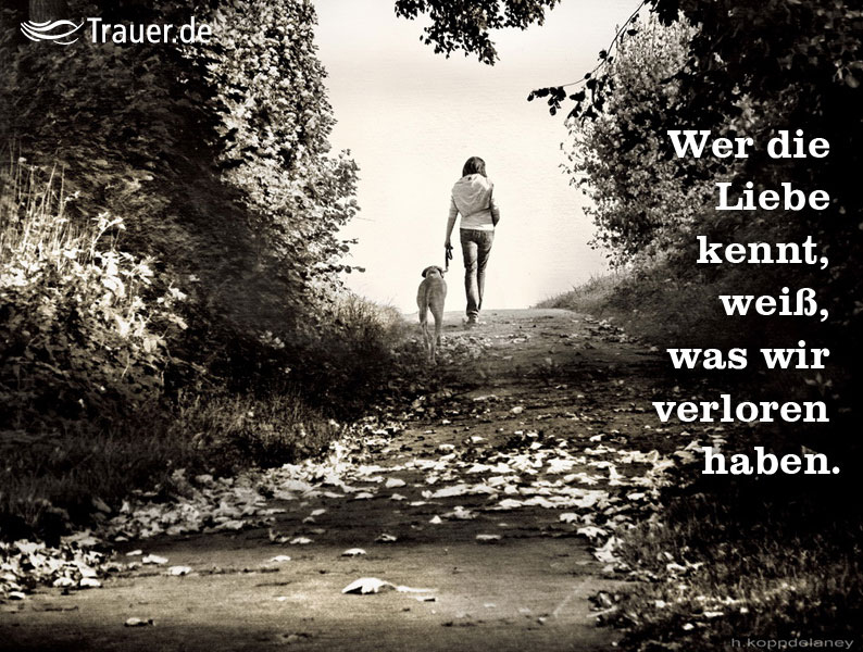 Bilder von Patrick Schuster | Seite 3