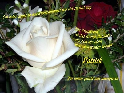 Bilder von Patrick Schuster | Seite 2