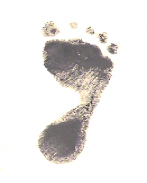 Gedenkseite für Paul Rabl