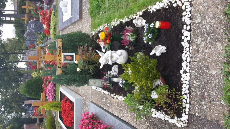 Bilder von Pierre Conrad