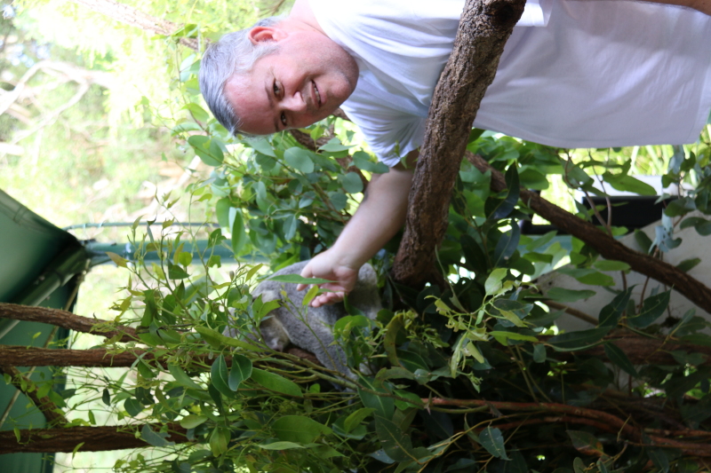 Bilder von Stephan Hoppe | Seite 4